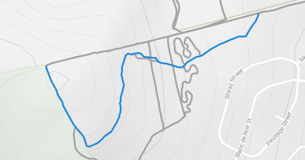 Upper Majik Forest DH Multi Trail - Durbanville