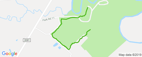 Ottine Swamp Trail Multi Trail - Ottine, Texas