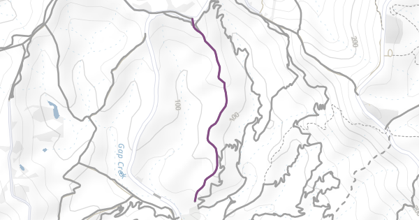 Quail Trail Multi Trail - Gap Creek Reserve, Brisbane