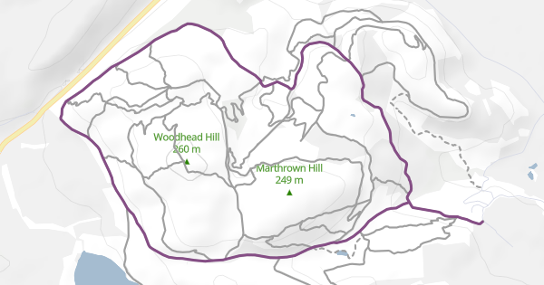 Forest Road Multi Trail - Mabie Forest, Dumfries
