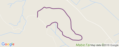 Forest Road Multi Trail - Mabie Forest, Dumfries
