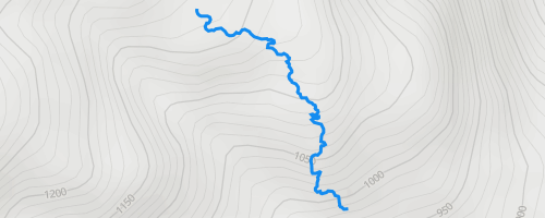 Descent 1 Mountain Biking Trail - Ymir, British Columbia