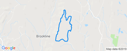 Pinnacle Ridge Trail Loop Multi Trail - Westminster, VT