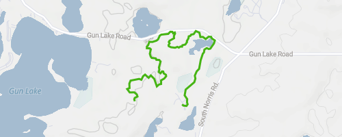 Yankee Springs 6 mile loop Horseback Trail - Middleville