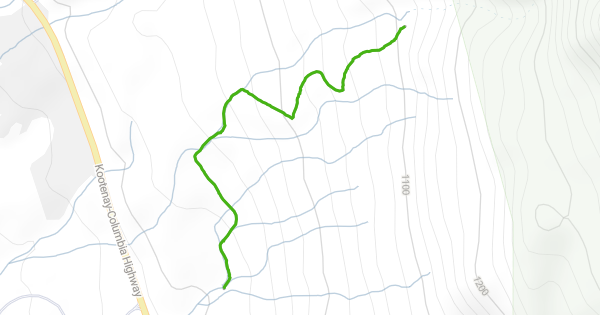Yurt Trail Multi Trail - Radium Hot Springs, BC