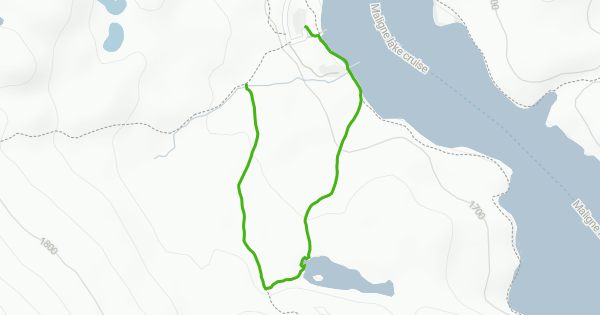 Moose Lake Loop Multi Trail - Jasper, Alberta