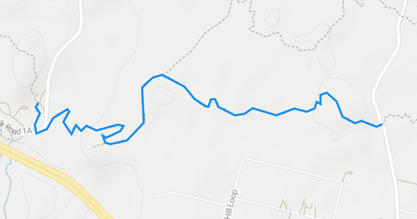 Lost Pines Loop Multi Trail - Bastrop, Texas