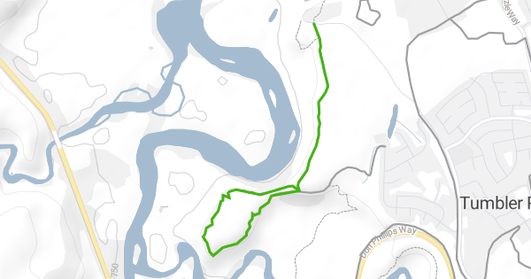 TR Point Trail Multi Trail - Tumbler Ridge, BC