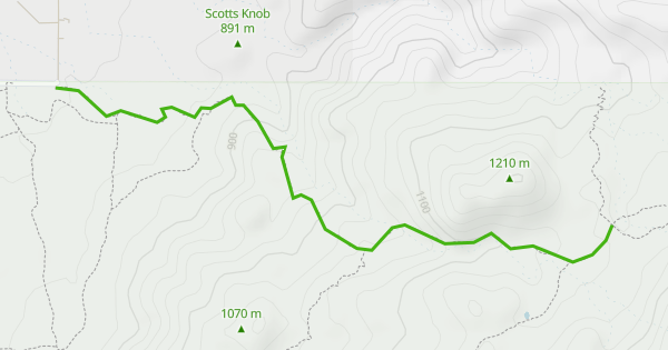 Douglas Spring Hiking Trail - Tucson, Arizona