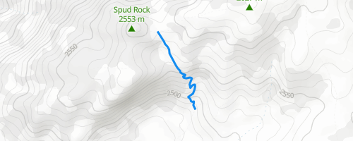 Spud Rock Trail Hiking Trail - Tucson, Arizona