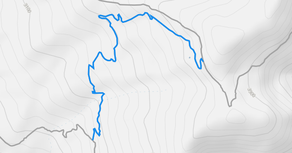 Point Lookout Mountain Biking Trail - Crested Butte