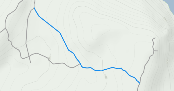 Mt. Hor Trail North Hiking Trail - Westmore, Vermont