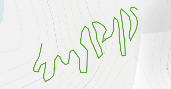 Manutuke Eco Retreat Mountain Biking Trail - Gisborne