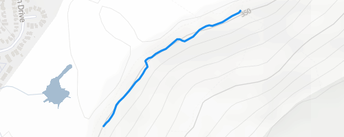 Upper Swamp Thing Mountain Biking Trail - Fort McMurray