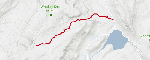 Tasha Creek Hiking Trail - Fish Lake, Lyman, Utah