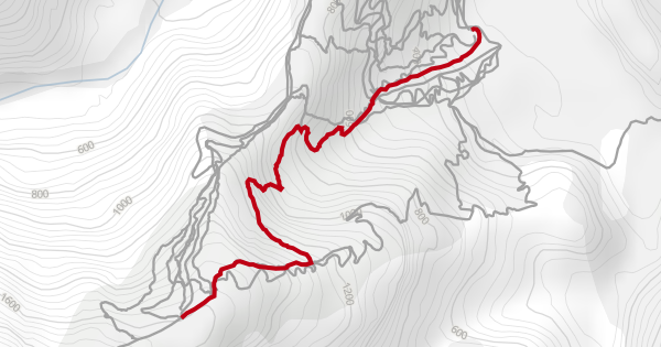 Honey Pot Mountain Biking Trail - Middle Hill MTB