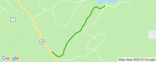 Sagehen Creek Trail Hiking Trail - Truckee, California