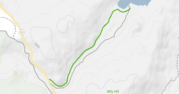 Sagehen Creek Trail Hiking Trail - Truckee, California