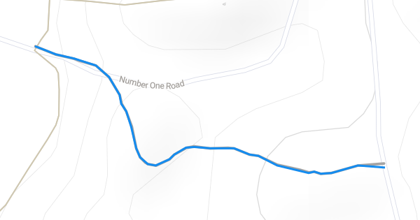 Magic Forest Mountain Biking Trail - | Trailforks