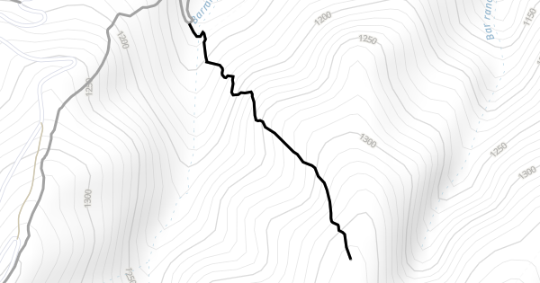 Anthony Line Mountain Biking Trail - Logroño