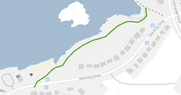 Albro Lake Beach path Hiking Trail - Dartmouth, NS