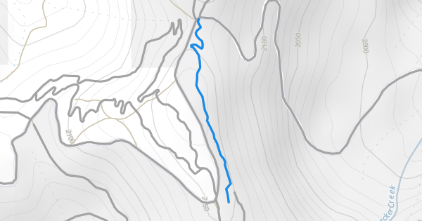 Gold Valley Rim Trail - Upper Multi Trail - Downieville