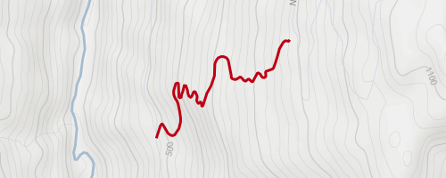Showcase Showdown (Lower) Mountain Biking Trail - Darrington