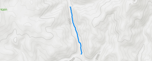 Lower Basin Mountain Biking Trail - Stanley, Idaho