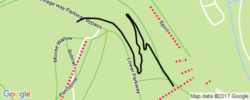 Boot Camp Mountain Biking Trail - Winter Park, Colorado