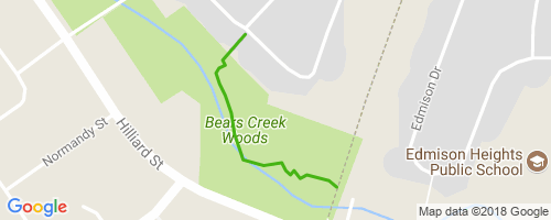 Bears Creek Mountain Biking Trail - Peterborough, Ontario