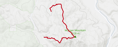 Big Munger Mountain Biking Trail - Jackson, Wyoming