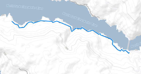 Cold Springs Trail Hiking Trail - Orofino, Idaho