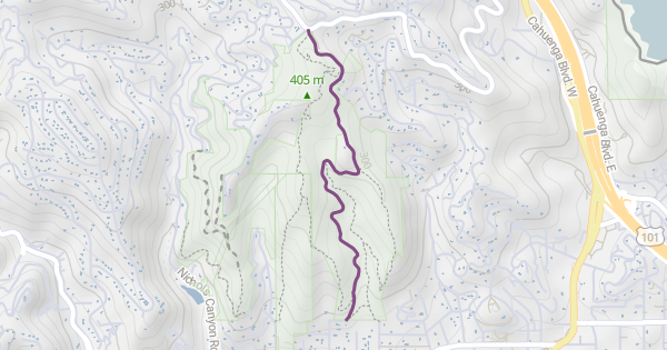 Runyon Canyon Road Multi Trail - Beverly Hills, CA