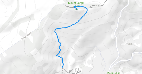 Mt Cargill Walking Track (Hiking Only) Hiking Trail - Dunedin