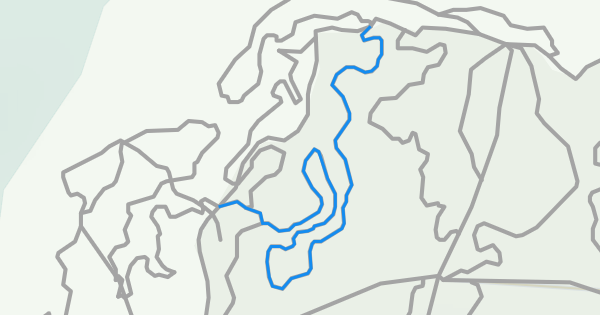 Zealous Monkey Mountain Biking Trail - Pensacola, Florida