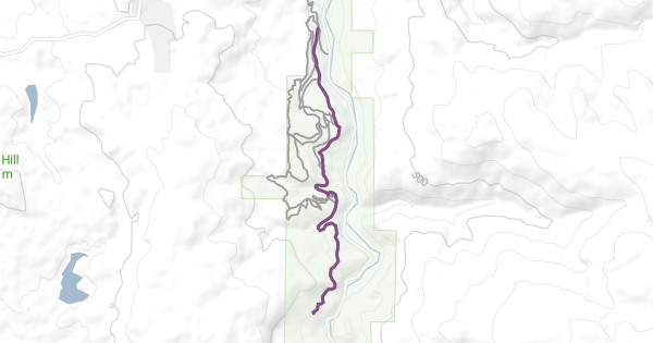 Huckleberry Trail Mountain Biking Trail - Molalla, Oregon
