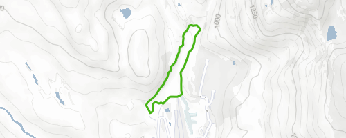 Madeley Creek Loop Skiing Trail - Whistler, BC