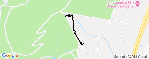 Barry Mountain Biking Trail - Majura Pines, Canberra