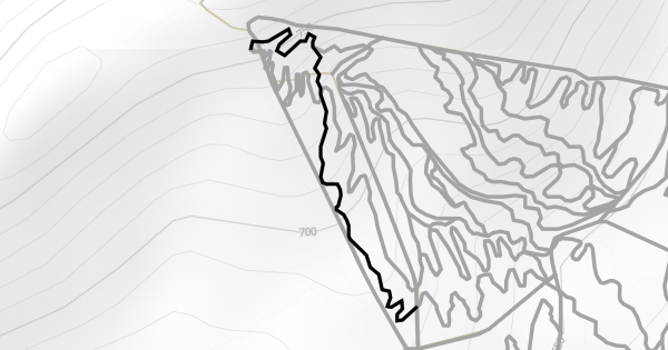 Barry Mountain Biking Trail - Majura Pines, Canberra