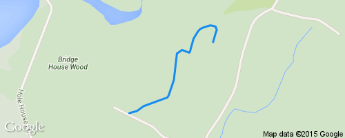 The Snake Mountain Biking Trail - Clitheroe | Trailforks