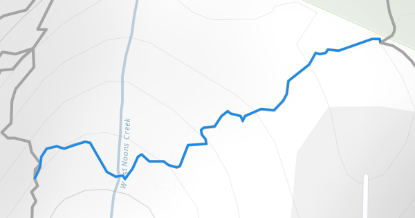 Blue line Mountain Biking Trail - Coquitlam, BC