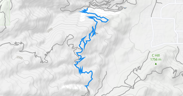 Ash Canyon to Kings Canyon Trail Mountain Biking Trail - Carson City