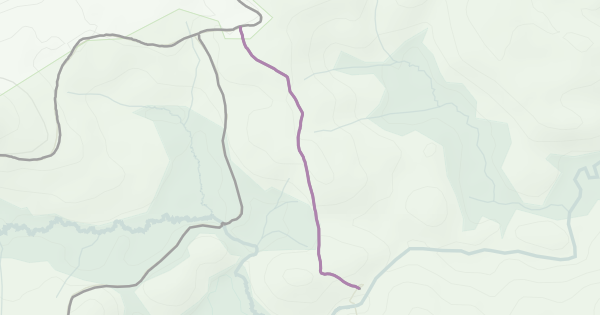 Junction Pools Trail Multi Trail - Dungog | Trailforks