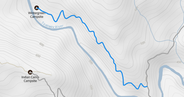 Wintergreen Trail Hiking Trail - Brevard, North Carolina
