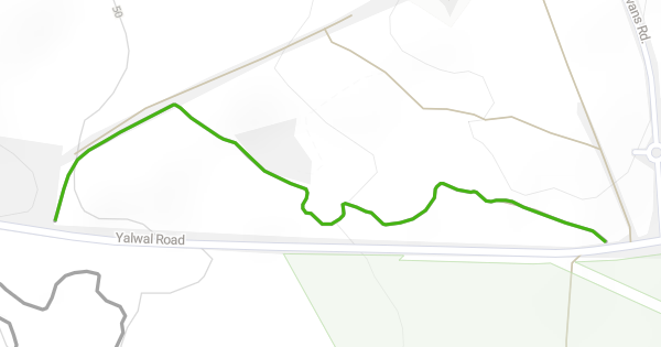 Quarry grounds Multi Trail - Cabbage Tree Lane, Nowra