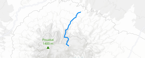 Mangorei Track Hiking Trail - Taranaki | Trailforks