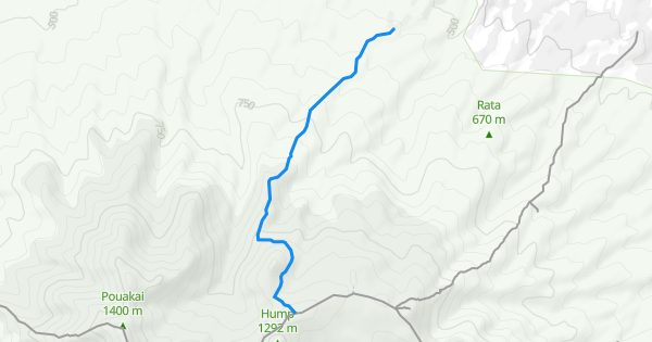Mangorei Track Hiking Trail - Taranaki | Trailforks