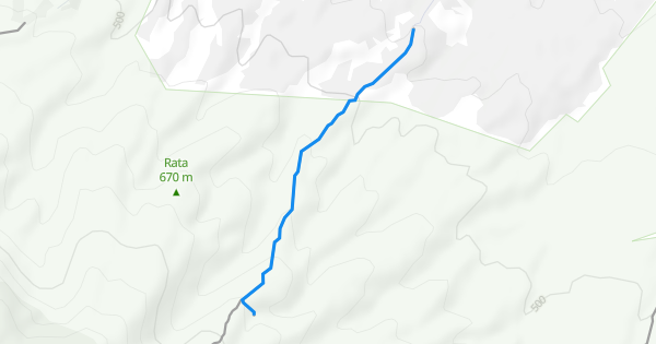 Maude Track Hiking Trail - Taranaki | Trailforks