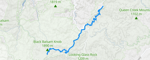 Mountains to Sea Trail: NC Segment 4 Multi Trail - Brevard