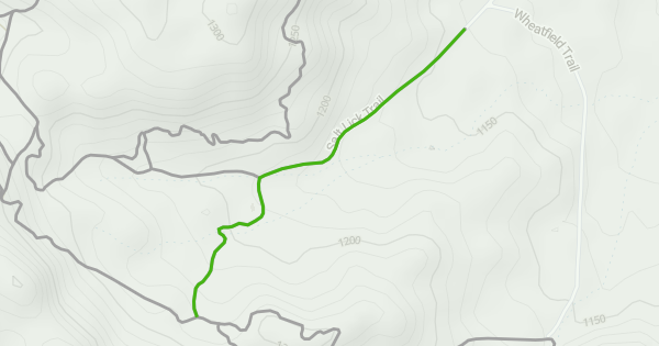 Salt Lick Trail Dirtbiking Trail - - California